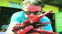 On the food trail with Jock Zonfrillo | Screen News - The Indian Express