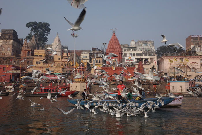 Clean cities list shows why Modi chose ‘dirty Varanasi’ to launch ...
