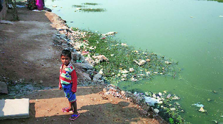 Toxic lake: Court asks DDA to provide maps of water body | Delhi News ... Toxic lake: Court asks DDA to provide maps of water body | Delhi News ...