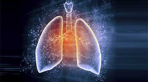 Scientists develop first 3D mini lung | Health News - The Indian Express