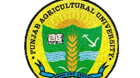 PAU athletic meet kicks off | Ludhiana News - The Indian Express