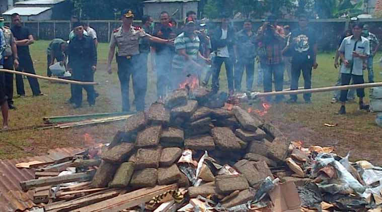 Indonesian police accidentally gets entire neighborhood high | Trending ...