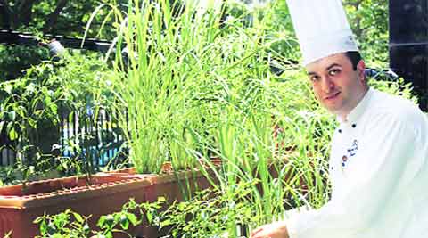 Wholesome and Healthy: Syrian chef Maher Omran on how Lebanese food ...