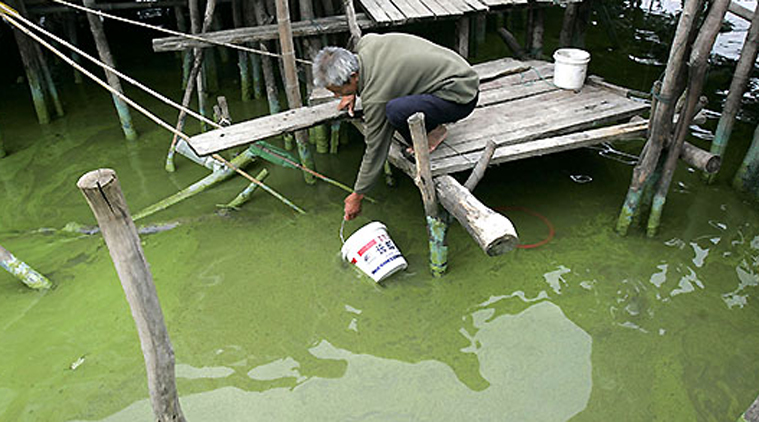 Chinese officials dump chemicals in river ahead of govt inspection on ...