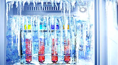 Dope watchdogs in deep freeze | Sport-others News - The Indian Express