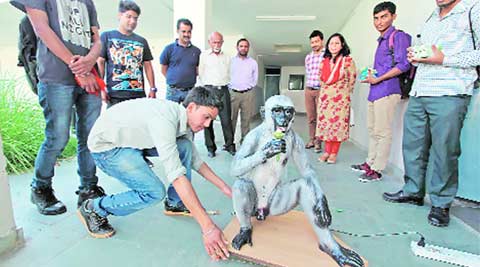 6 students come up with machine to chase away monkeys | Chandigarh News ...