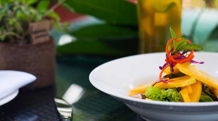 Top 5 must-try exotic summer salads | Food-wine News - The Indian Express