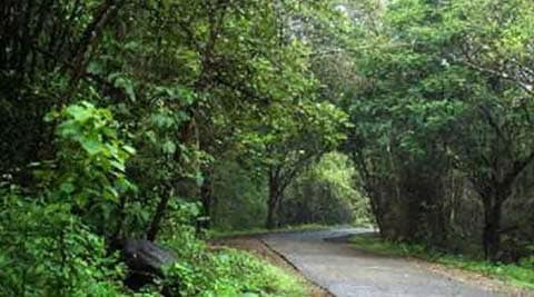 300 resettled forest dwellers occupy Gondia national park, raise new ...