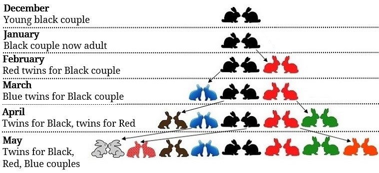 Problematics: The breeding habits of Facebook shares and Fibonacci rabbits | Blogs News - The ...