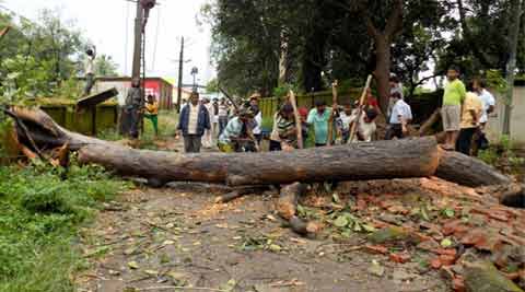 375 trees collapse in four days of heavy rains | Mumbai News - The ...