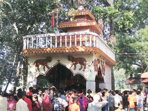Nepal: Gadhimai temple pledges to look away from animal killings ...
