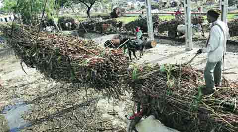 Maharashra minister hints at action against sugar mills for failing to ...