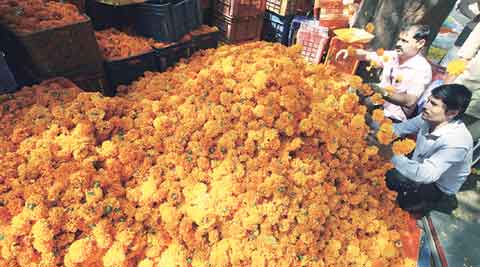 Marigold prices up three-fold in run-up to Dussehra in city | Pune News ...