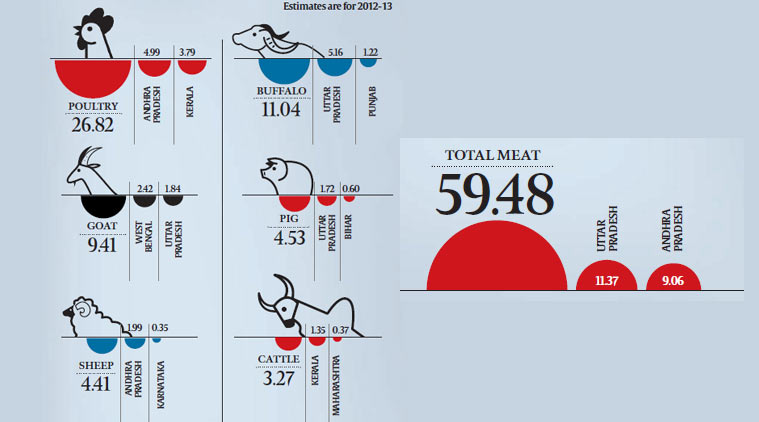 A look at the state of meat production in India | India News - The ...