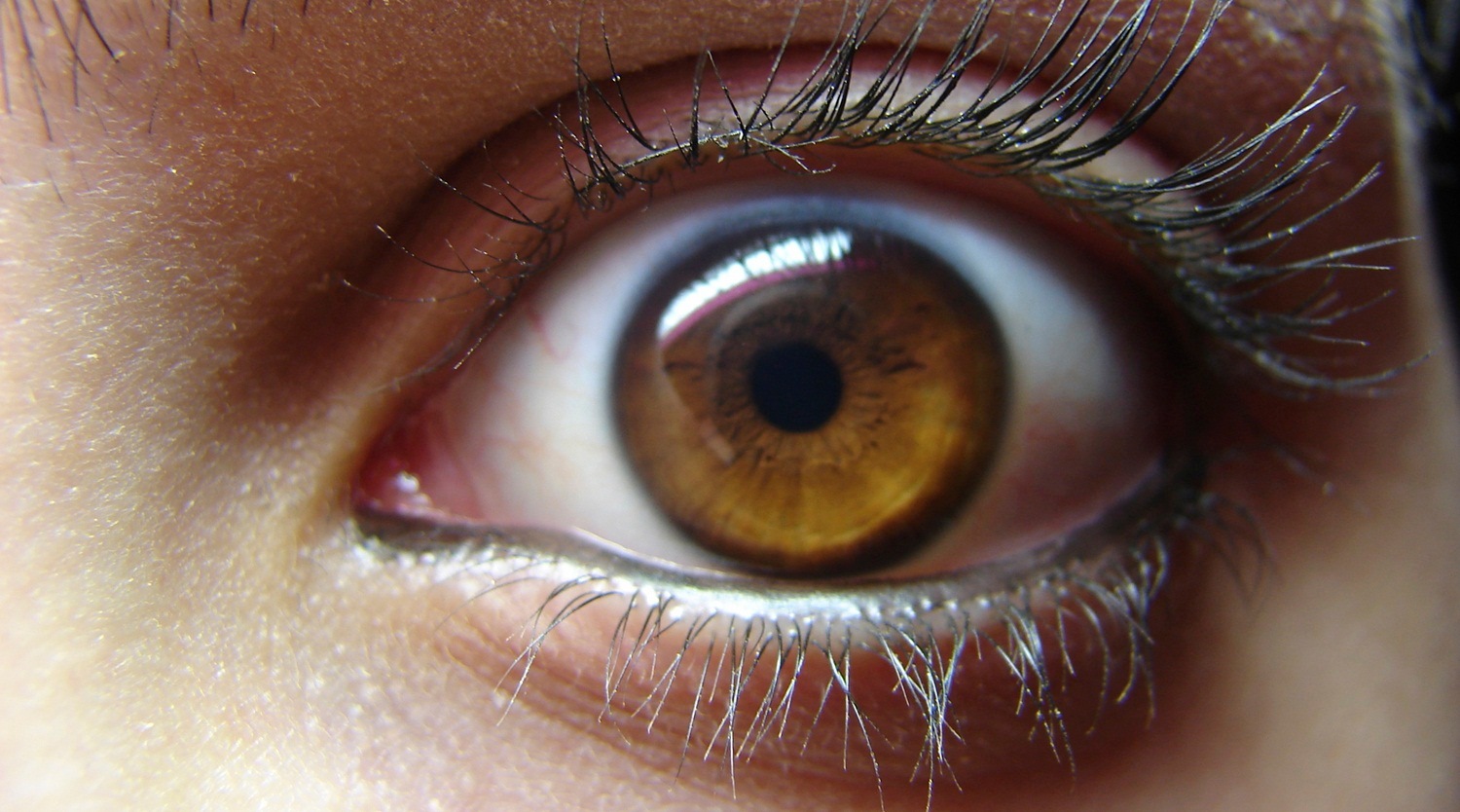 Explained: How cocaine use gives you that high | Health News - The ...