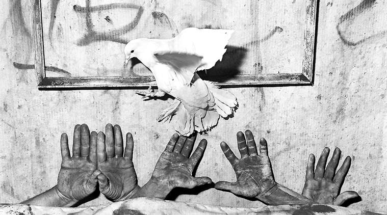 Roger Ballen photo exhibition: The dark side of white | Lifestyle News ...