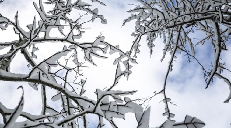 Light snow and rain to grow heavy in Northern California | World News ...
