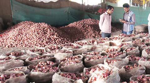 Onion lessons | The Indian Express