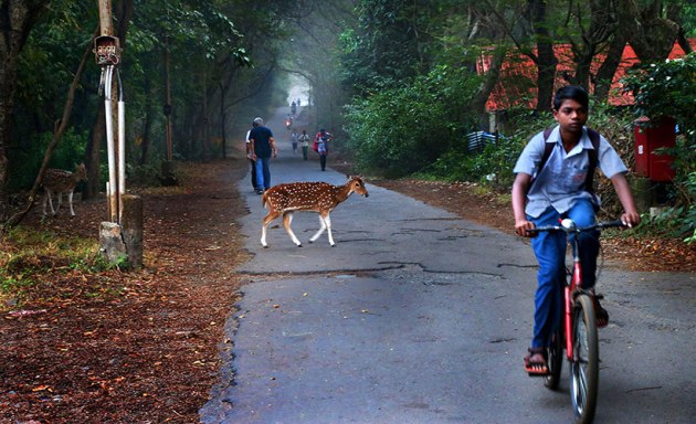 Sanjay Gandhi National Park: Inside urban Mumbai’s jungle | Lifestyle ...