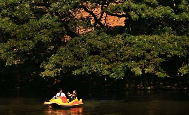 Sanjay Gandhi National Park: Inside urban Mumbai’s jungle | Lifestyle ...