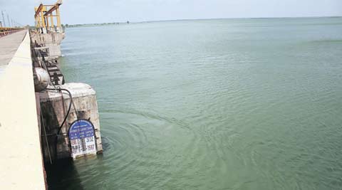 Latest News on Ujani Dam: Get Ujani Dam News Updates along with Photos ...