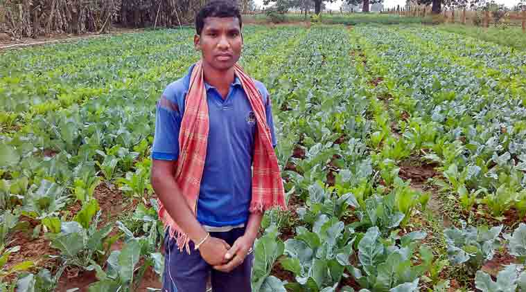 Multi-crop practice: Amid gloom, two farmers have reasons to smile ...