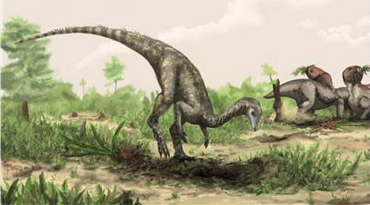 Dinosaurs showed off sexual displays to woo mates: Study | Technology ...