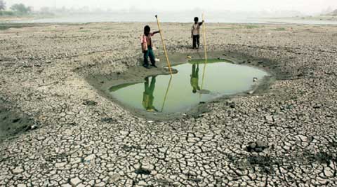 Farm vision statement | The Indian Express