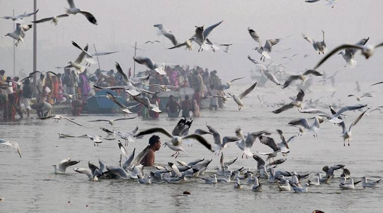 Govt now plans to clean the Ganga — differently — with a little help ...