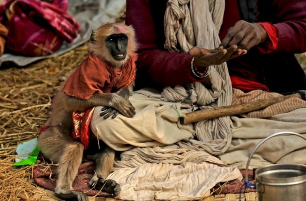 Stunning photos of India celebrating Lohri, Makar Sankranti, Pongal ...