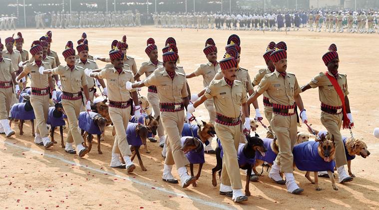 Delhi Police Dog Squad to get 30 new members | Delhi News - The Indian ...