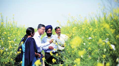 Agricultural research: The real ‘yellow revolution’ | India News - The ...