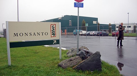 Monsanto threatens to exit India over govt’s show cause notice ...