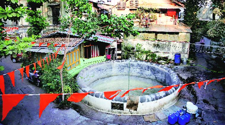 Mumbai: Here, there is time to stand and stare | Mumbai News - The ...