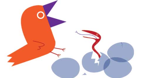 The legend of parachuting cats | The Indian Express