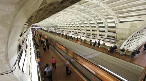 Prankster who tossed crickets on subway train arrested | World News ...