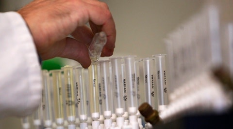 Russian gold medallists used steroids at Sochi Olympics: report | Sport ...