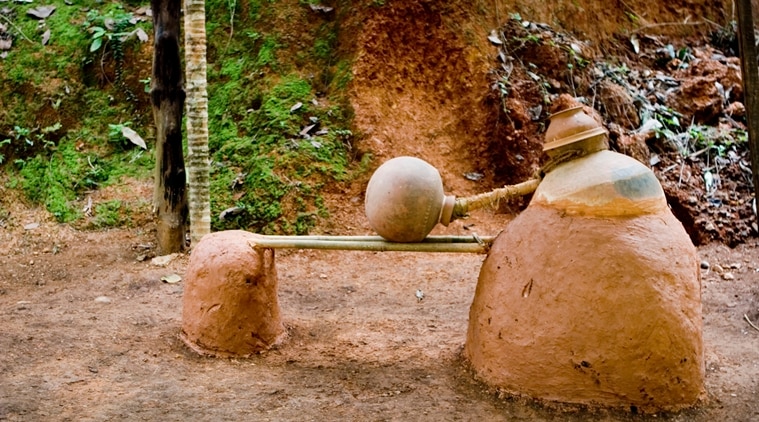 Fresh brew: Goa’s Feni to sport ‘Heritage Spirit’ tag | Food-wine News ...