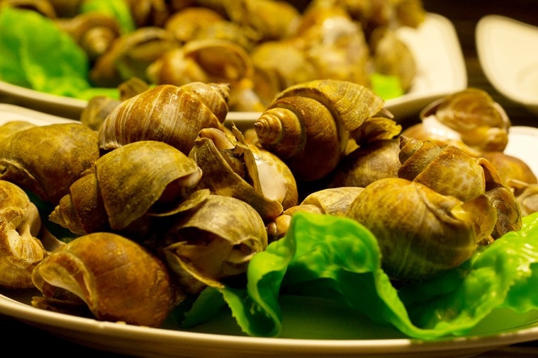 A Hissterical Find | Food-wine News - The Indian Express