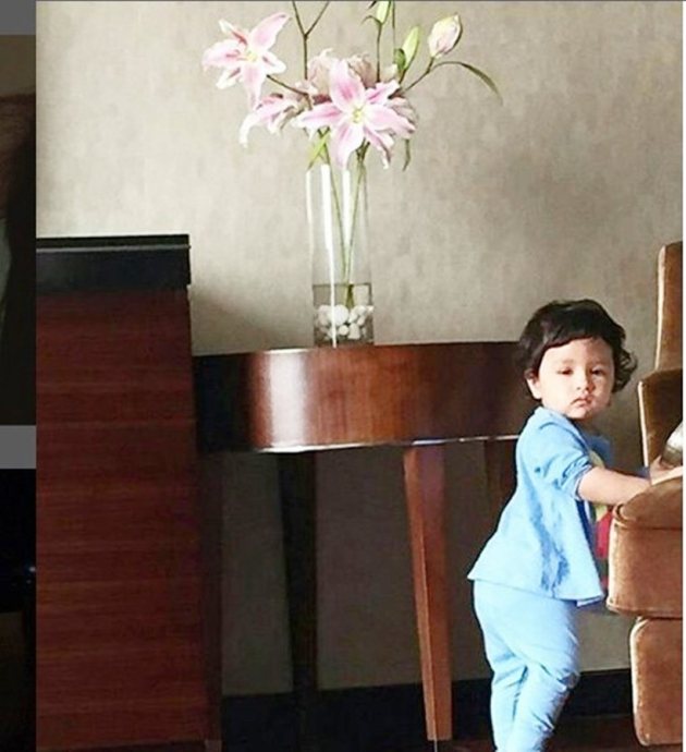 MS Dhoni, daughter Ziva’s adorable moment clicked by mom Sakshi, see ...