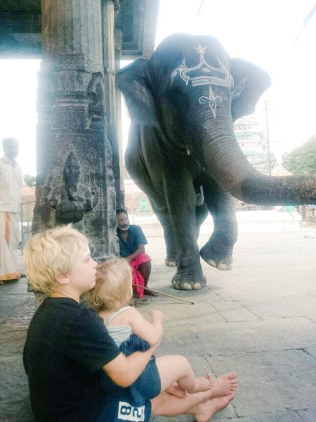 Here’s what Jonty Rhodes and his family are doing in India | Sports ...