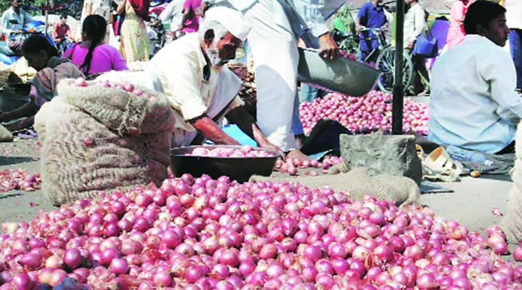Onion production area dips by 40 per cent | India News - The Indian Express