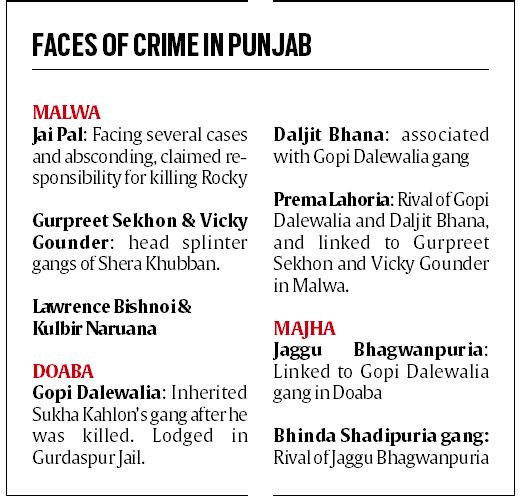 Rise of the gangs of Punjab | Chandigarh News - The Indian Express