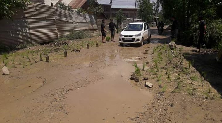 In unique protest, Kashmiri villagers plant paddy on poorly constructed ...