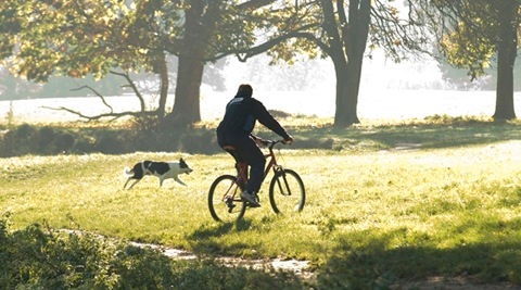 Pedalling towards a healthy you: How cycling can keep you fit | Fitness ...