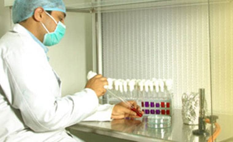 Jubilant Life Sciences shares jump 6% on epilepsy injection approval ...