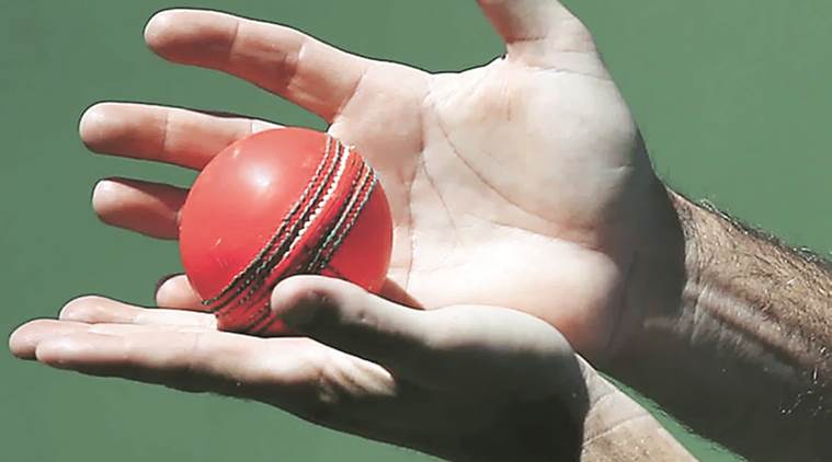 Pink ball for India’s home Test not black and white | Cricket News ...