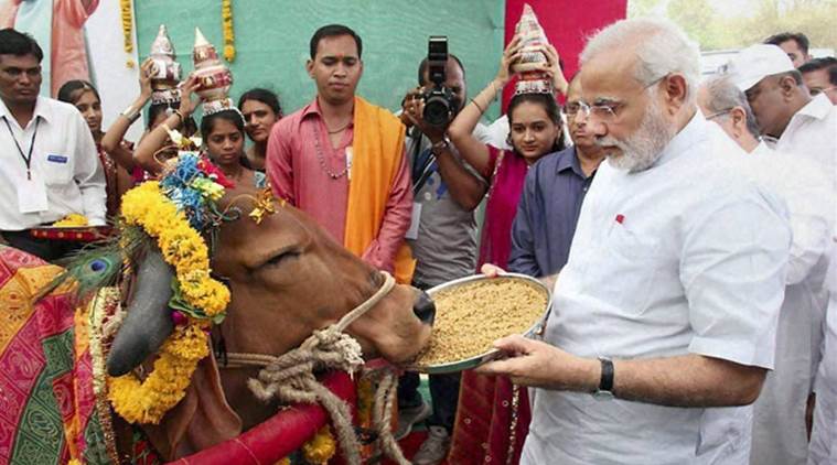 BJP-backed outfit to conduct cow census in West Bengal | India News ...