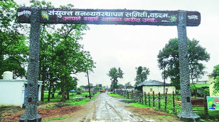 Gadchiroli village bags top award for forest conservation | India News ...