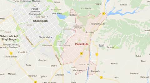 Panchkula: Two test positive for chikungunya | Cities News - The Indian ...